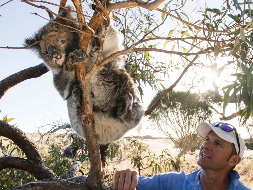 Wildlife & Ocean Encounter - Australian Coastal Safaris